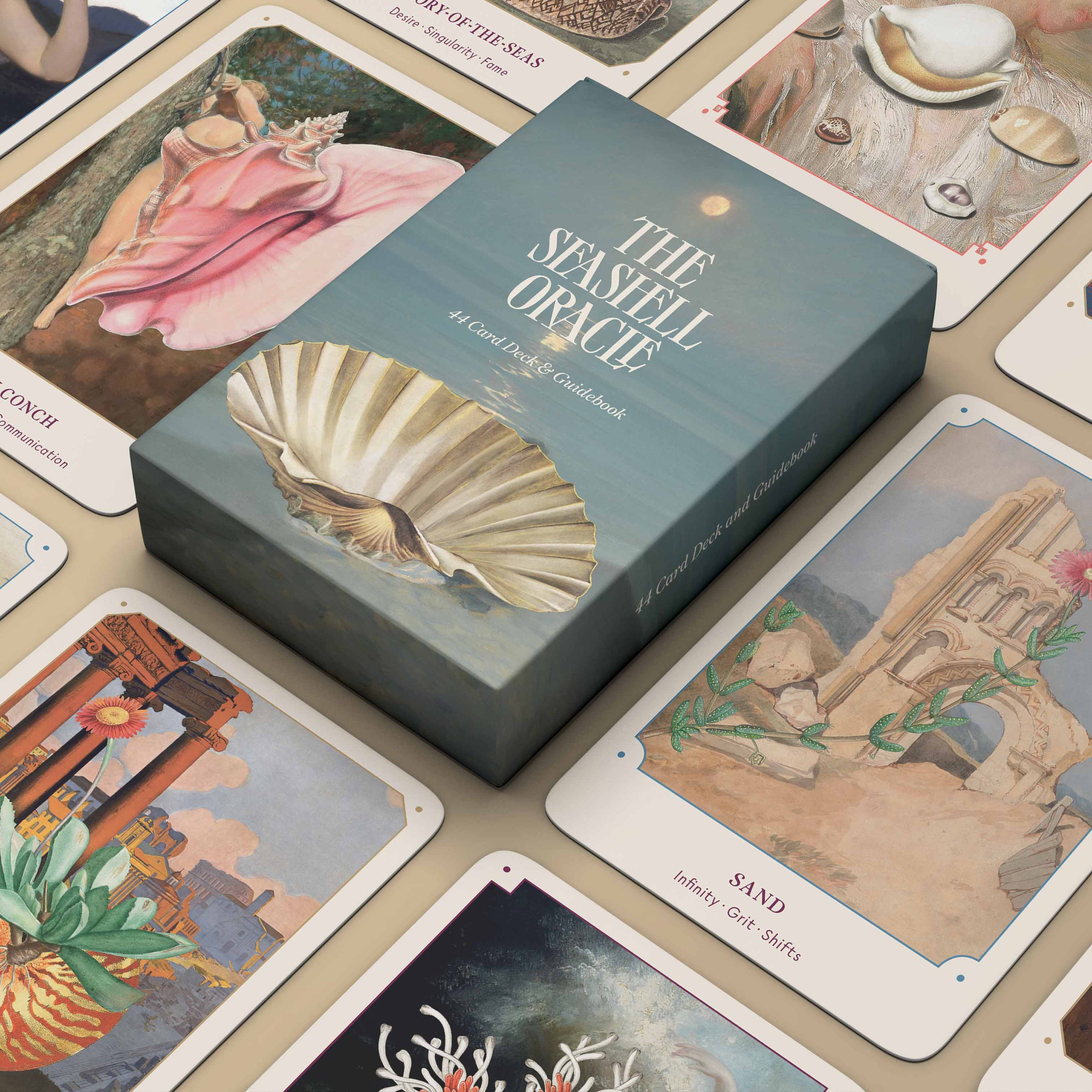 The Seashell Oracle: 44 Card Deck and Guidebook – NMWA Shop